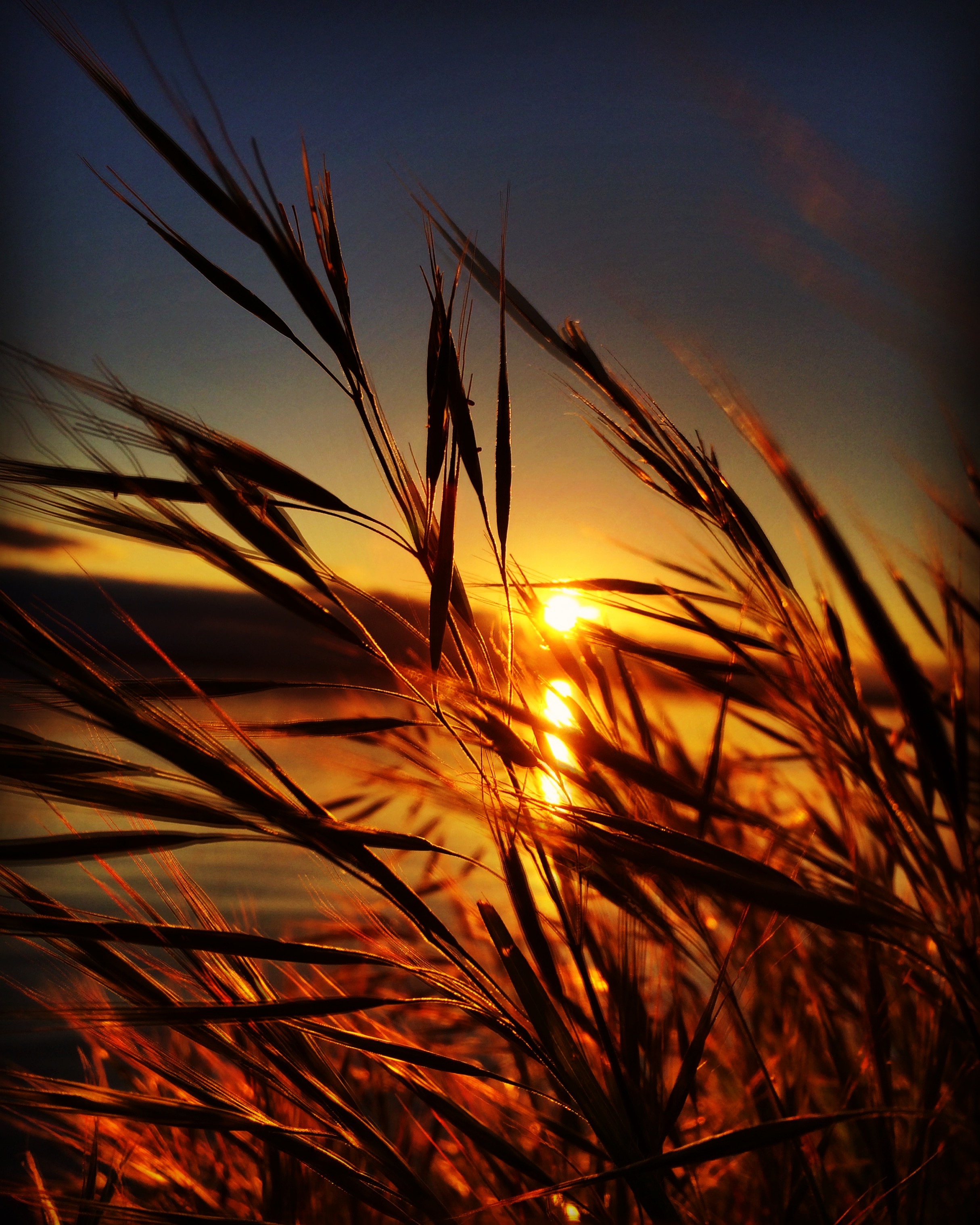 Sunset of the week 4-30-18 | Westside Seattle